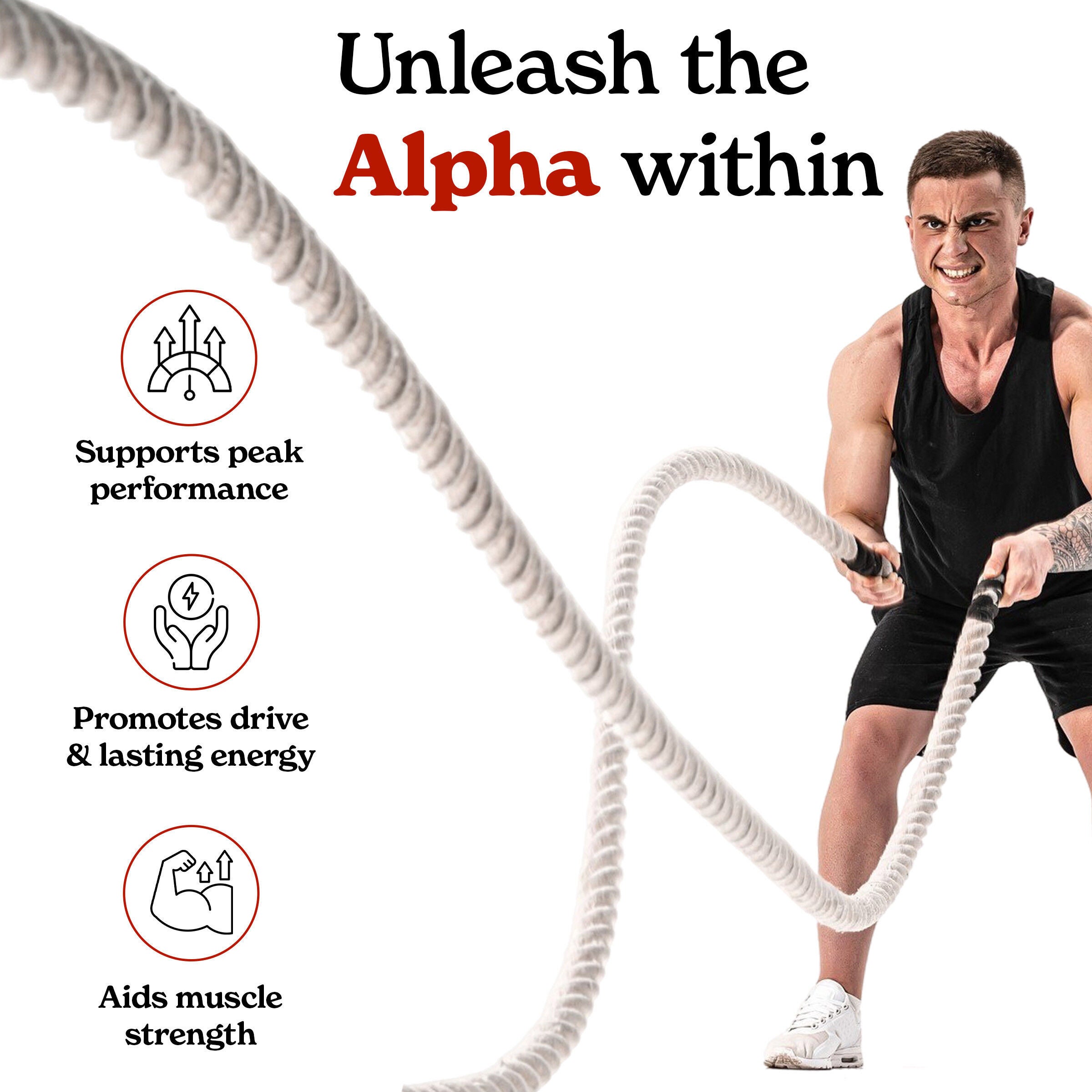 BetterAlt - Testo Pro - 90 Capsules (30 Servings) | GNC