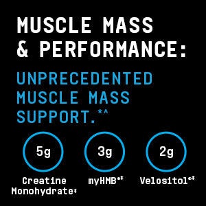 Beyond Raw® - Dynamic Gainer High-Tech Mass Gainer: Strawberry ...