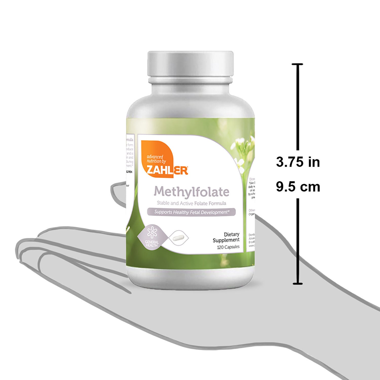 ZAHLER Methylfolate Supplement: Active Form of Folic Acid | GNC
