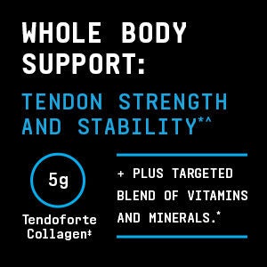 Beyond Raw® - Dynamic Gainer High-Tech Mass Gainer: Strawberry ...