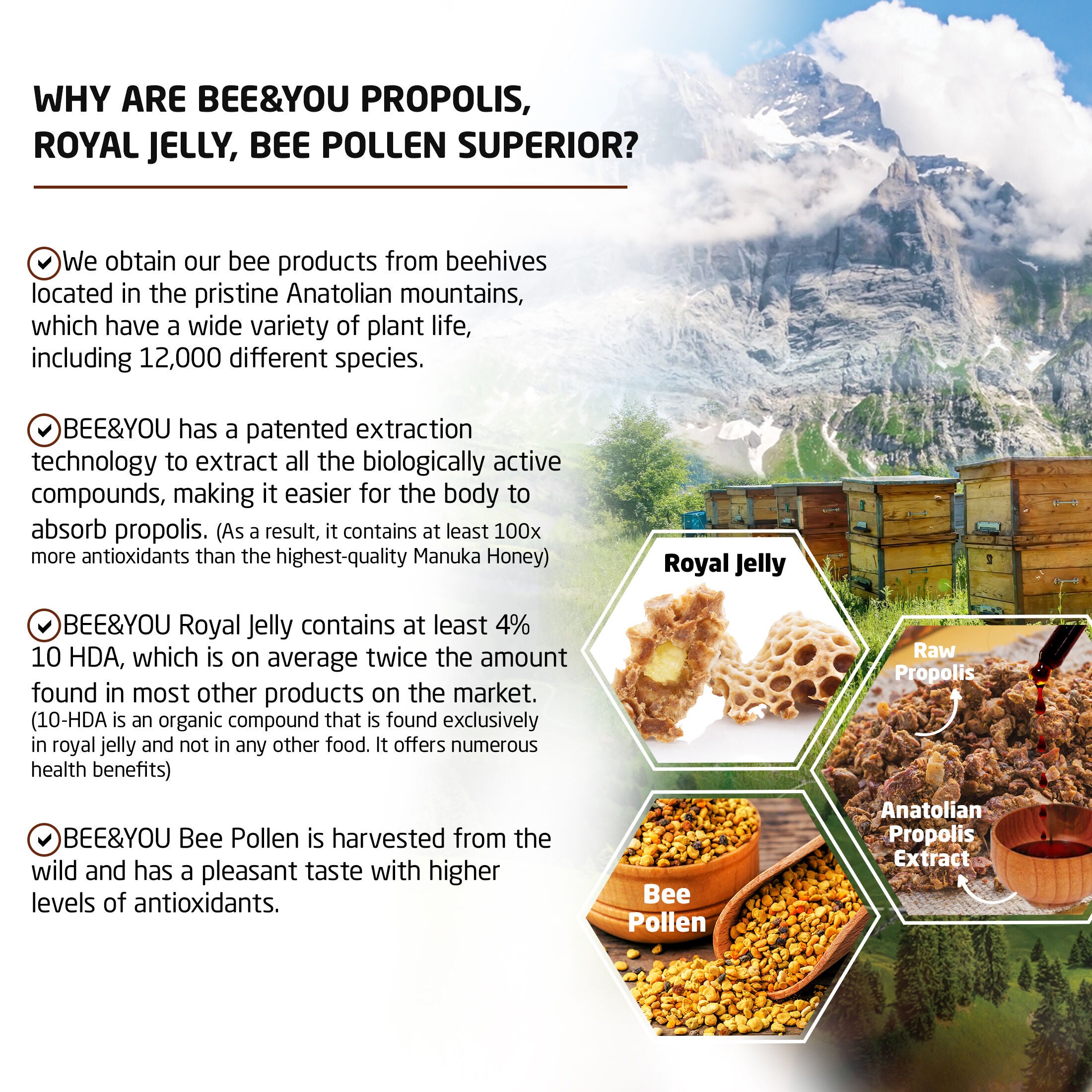 Bee & You® - Triple Bee Complex: Royal Jelly Bee Pollen Propolis 500mg - 60 Tablets | GNC