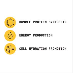 562300 Try GNC Beyond Raw Chemistry Labs Creatine HCl for a lab-grade ...