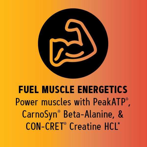 GNC AMP Tri-Phase Multi-Action Pre-Workout | GNC