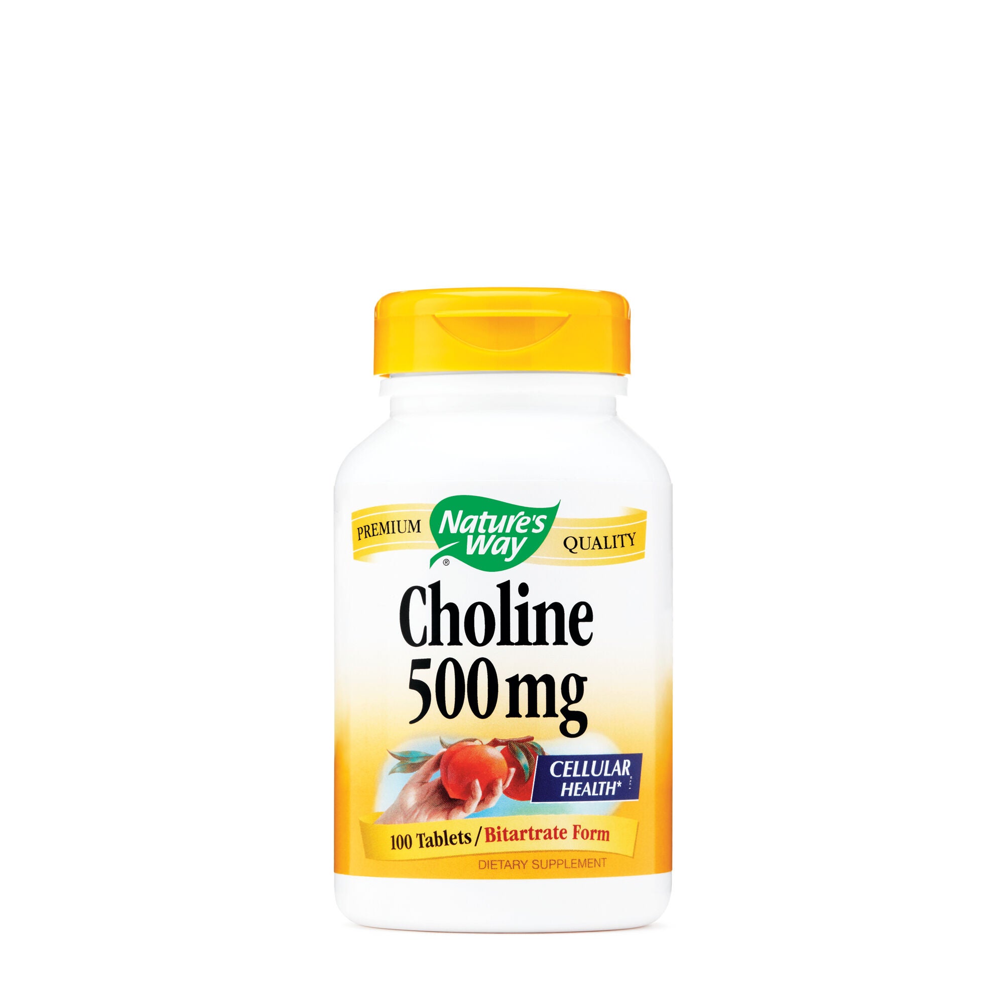 Choline Cocktail - Brain Mind Article