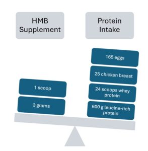 HMB: What You Should Know from a Dietitian, PhD | GNC