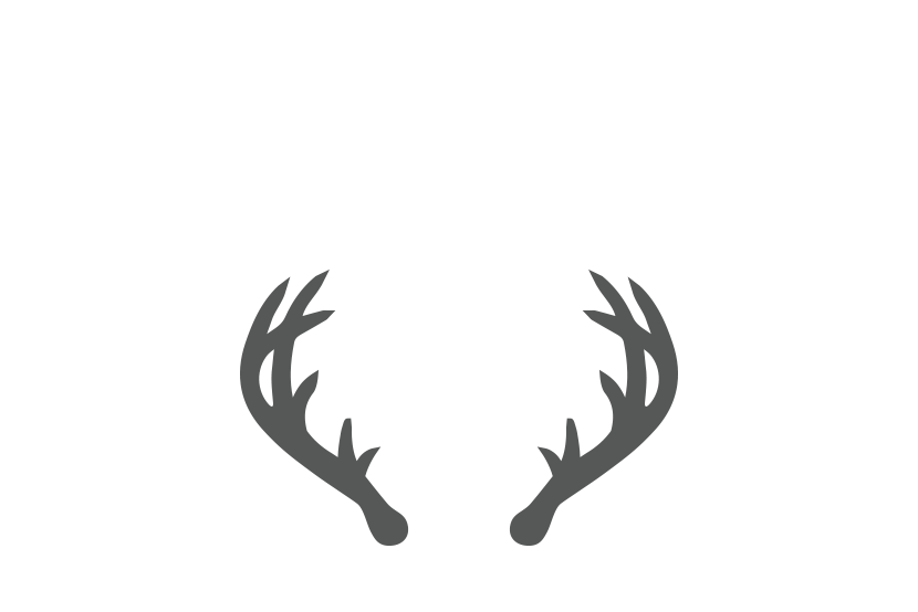 Bucked Up® LFG Burn Pre-Workout - 3 Flavors Available | GNC