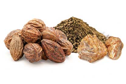 GNC Preventive Nutrition® Focus and Memory - 60 Capsules | GNC