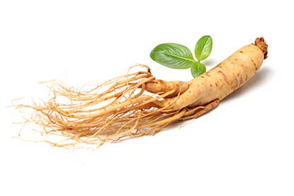 GNC Preventive Nutrition® Focus and Memory - 60 Capsules | GNC